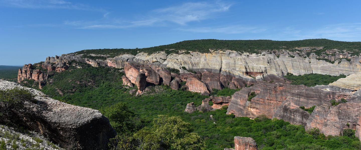 Ancient Artists of Brazil - Andante Travels